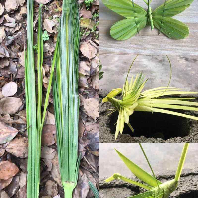 手芸キット 小学生用 伝統民俗 無形文化遺産 棕櫚編み 草編み DIY 材料セット 家庭学習 教育用 創造性育成 編み物 子供向け 教室用