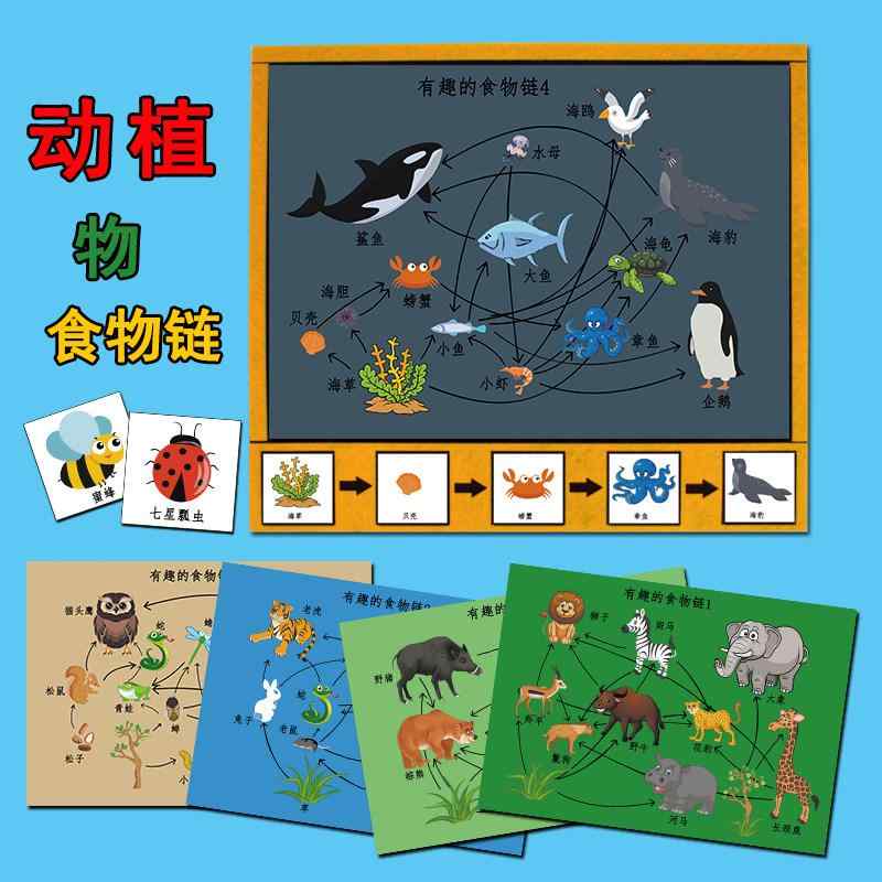 知育玩具 幼児向け 科学教育 動植物 食物連鎖 学習ゲーム 楽しいパズル 教育材料 セット 動物植物連鎖 生態系学習 益智ブロック