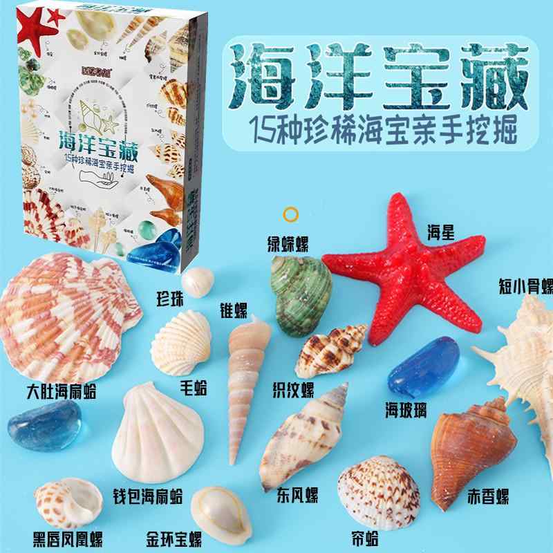 発掘玩具 女の子用 海の宝物 ブラインドボックス 貝殻 巻き貝 ヒトデ 宝石 掘り出し キッズ おもちゃ 海辺遊び 教育的 発見 冒険 室内外 対応 素材 遊び心 詰め合わせ