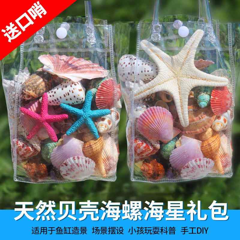水槽 造景 キッズ 貝殻 海螺 海星 アクアリウム デコレーション 海洋 装飾 ベース 玩具