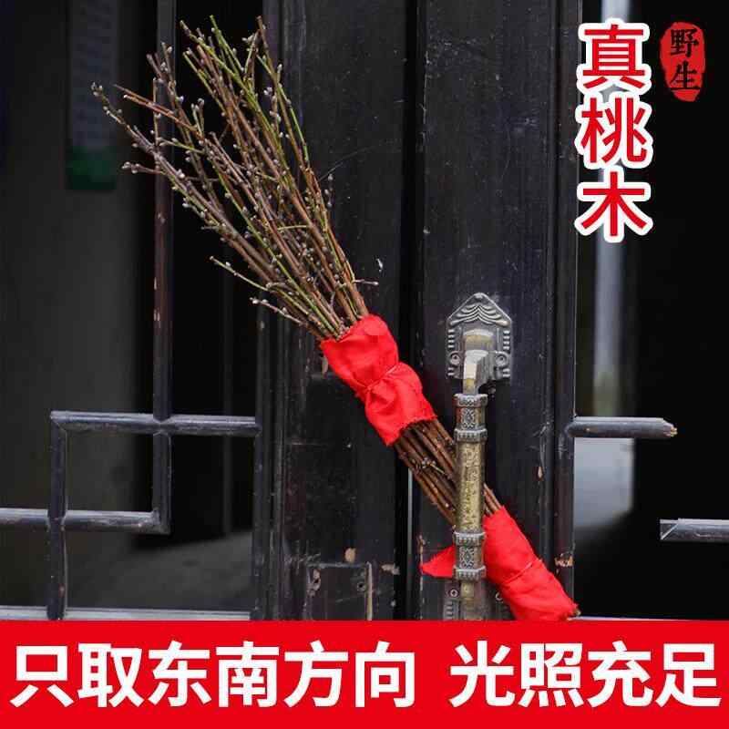 桃の枝 ベビー 妊婦用 野生 護身 お守り 赤ちゃん 驚き 泣き声 防止 家内安全 平安 風水 アイテム 素材 部屋飾り 通年使用・風・外観: 植物・対象: 友人・同僚・シーン: 引っ越し祝い・スペース: 寝室・機能: 平安守護・置き方: ...