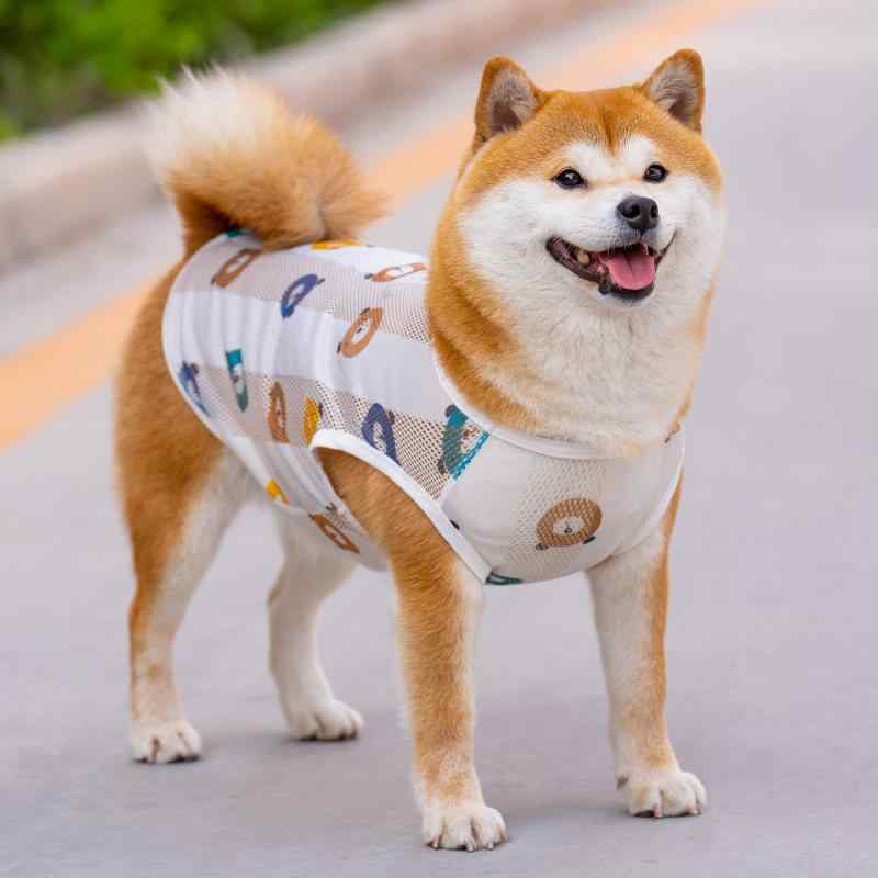 犬用 夏 UVカット ベスト 薄手 通気性 抜け毛防止 子犬 柴犬 コーギ テディ ペットウェア 屋外用 軽量 吸湿速乾・スタイル: カジュアル・柄: ビビッド小熊.パイナップル・サイズ展開: XS(2.5-4kg), S(4.5-7kg)...