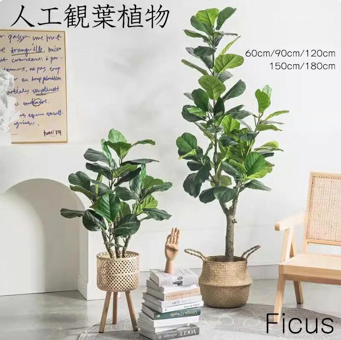 商品説明 商品詳細 【材質】：（本体）ポリエステル、ポリプロピレン、ポリエチレン （鉢）プラスチック 関連キーワード 観葉植物 フェイクグリーン 造花 おしゃれ インテリア ディスプレイ 癒し リラックス 人工観葉植物 フェイクグリーン グ...