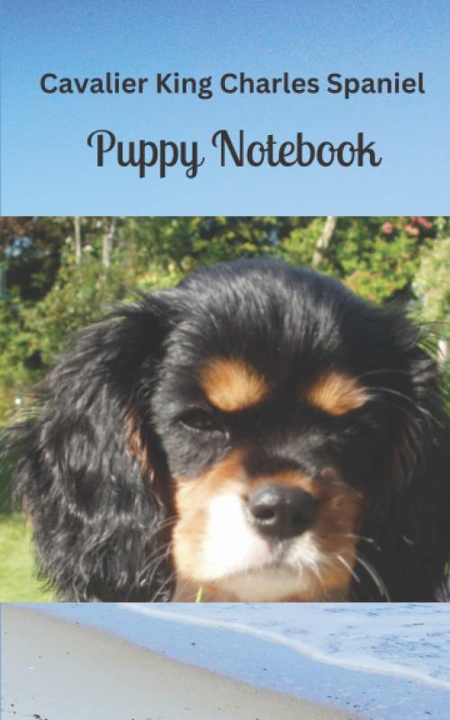 CAVALIER KING CHARLES SPANIEL Puppy Notebook 5x8 100pp Tricolour pup