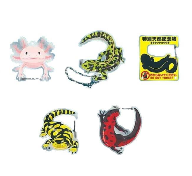 サンショウウオとイモリのカラビナ[全5種セット(フルコンプ)] ガチャコンプリートセット