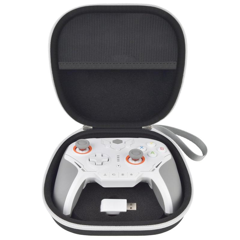 コントローラー 専用収納ケース、互換品 for BIGBIG WON BLITZ2 TMR PC ゲーム パッド、ポータブル ハードバッグ、 携帯便利 無線/有線 ホールジョイスティック、衝撃保護 対応 Blitz2 Controller ...