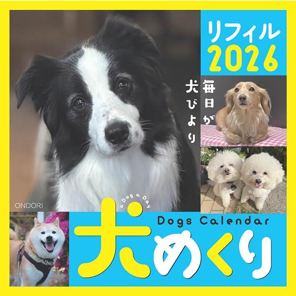 犬めくり 2026年 カレンダー リフィル 日めくり CK-D26-02【掲載期間】2026年1月1日～12月31日【枚数】320枚　土日1ページ【生産国】日本【サイズ】15.6×15.6cm裏面メモ欄付き