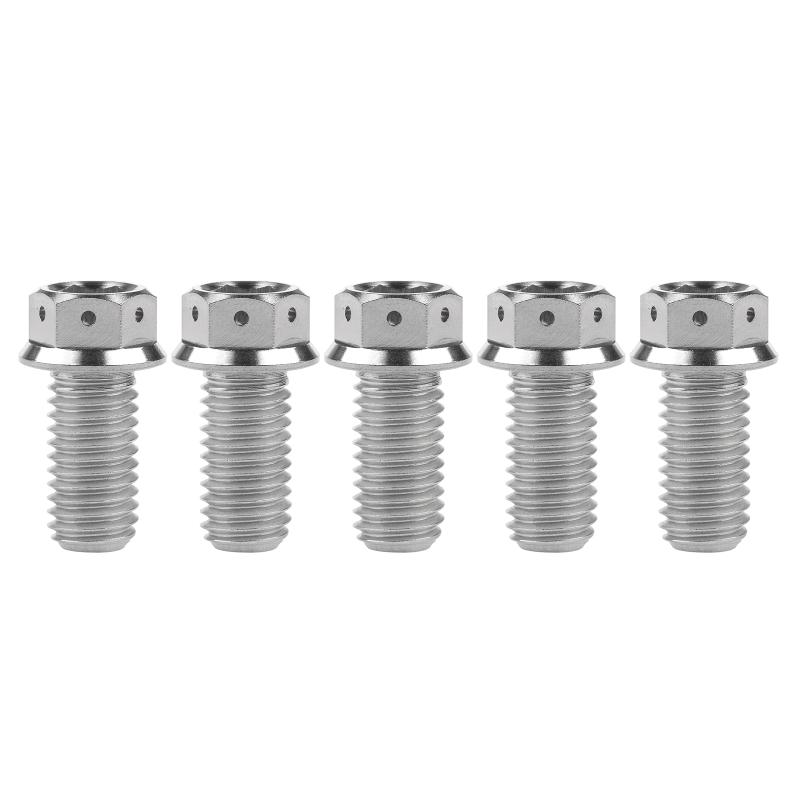 Ruifuチタン合金フランジヘッド六角穴付ボルトM10 20 25 30 35 40 45 50 55 60 65 70 75 80 85 90mm 二輪車用改造ネジ5個 (M10x20mm Pitch 1.5, シルバー)材質：6AL /...