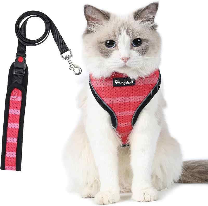 猫 猫用 ハーネス 胴輪 猫具 ねこ ネコ 子猫 子犬 小型犬 散歩 お出かけ 抜けない ベスト ソフト胸あて 軽量 頭を通さずマジックテープで装着 サイズ調節可 夜反射 通気メッシュ (Mサイズ (x 1【面でを支えるハーネス型】愛猫の体...