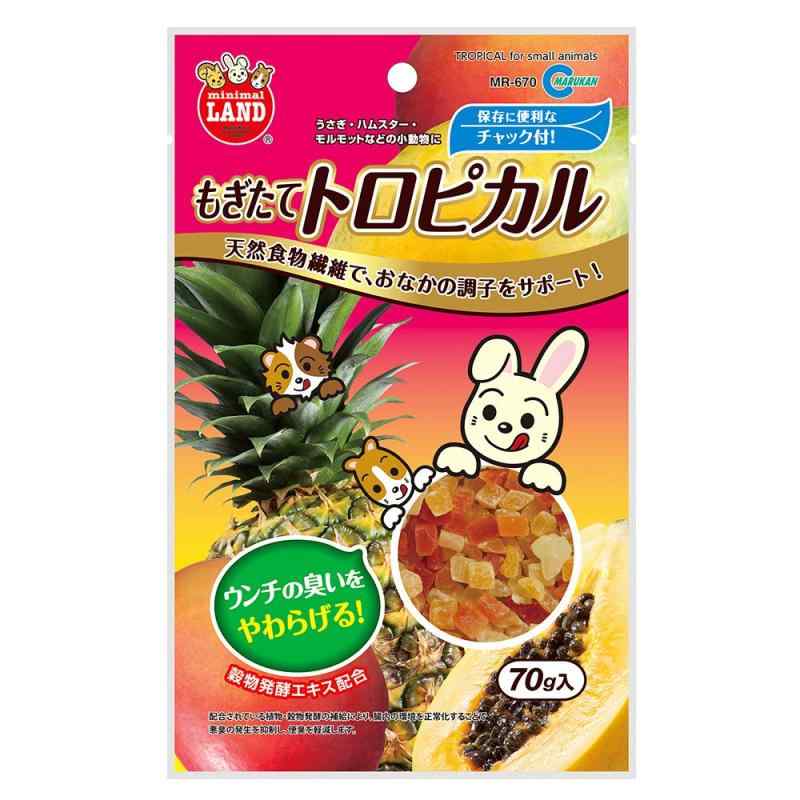マルカン もぎたてトロピカル 70g本体サイズ (幅X奥行X高さ) :12.5×2.5×20cm本体重量:70g原産国:タイ栄養成分:粗たんぱく質:0.0%以上、粗 脂 肪 :0.0%以上、粗 繊 維 :4.0%以下、粗 灰 分 :2.0%...