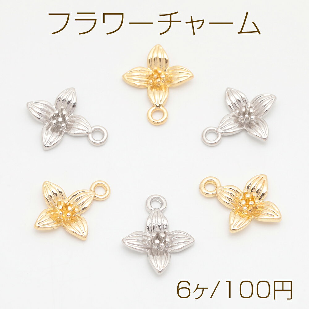 仕 様 サイズ約13×15mm材 質合金製重さ約3.6g/パック 入 数 6ヶ 注意事項 ●海外生産のため、輸入・生産時期に擦り傷・バリ・歪み・メッキムラなどある場合がございます。 ●生産メーカーの都合により、再入荷時にサイズや色味、デザイ...