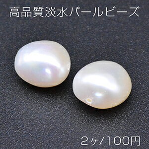 仕　様 サイズ写真参考材　質天然素材重さ約2g/パック 入　数 2ヶ 注意事項 ●海外生産のため、輸入、生産時期に、擦り傷・バリ・歪み・メッキムラなどある場合がありますが。 ●生産メーカーの都合により、再入荷時にサイズや色味、裏側などメイン...