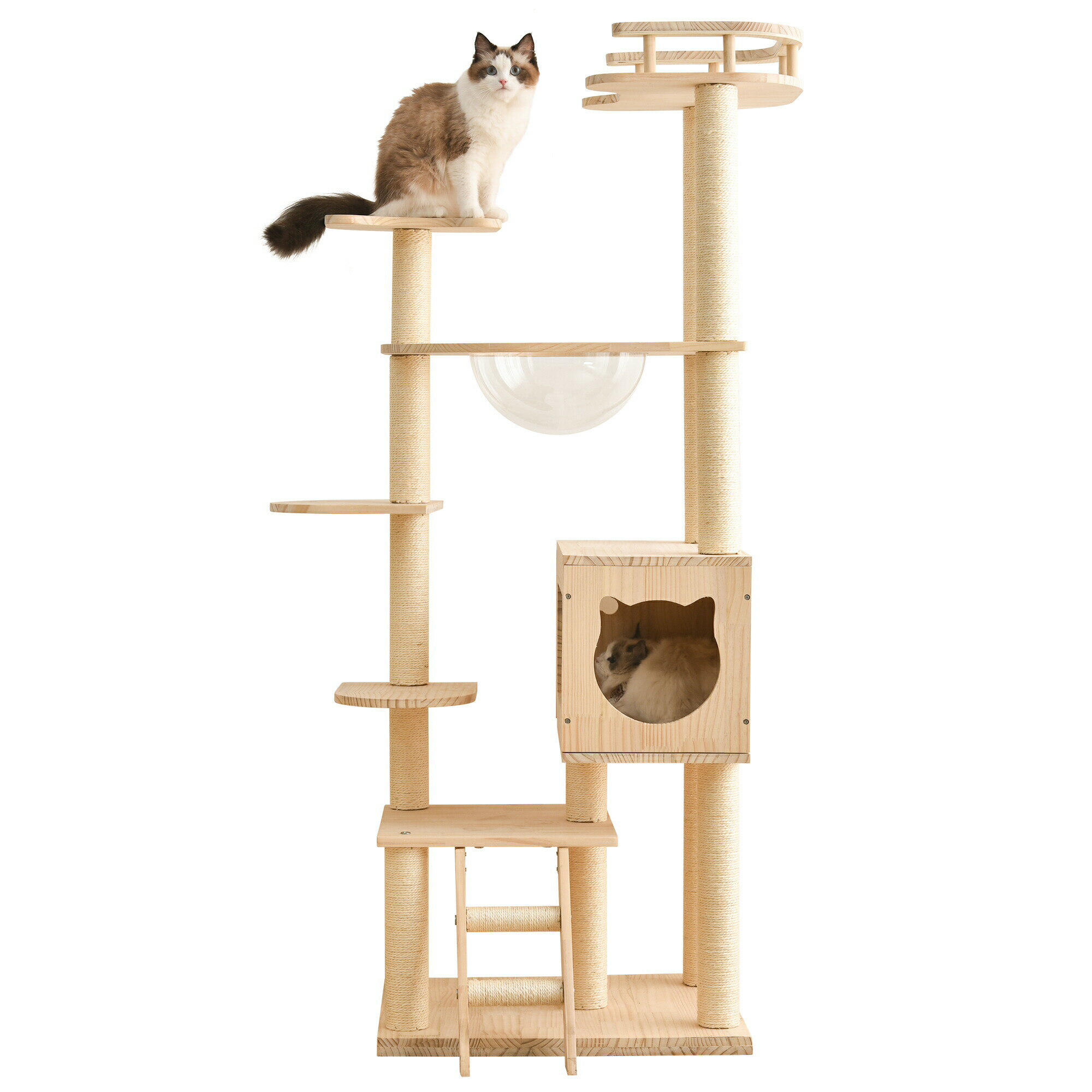 キャットタワー 透明宇宙船 頑丈 据え置き おしゃれ キャットタワー 木製 可愛い麻紐 爪とぎボール 猫ベッド 安全安心 ペット用品宇宙船 据え置き 厚さを増した板材 キャットハウス つめとぎ 猫 大型猫用 爪とぎ キャットウォーク 多頭飼...
