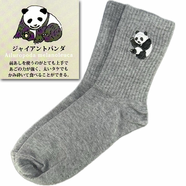 大人っぽい刺繍パンダソックス！ さりげなく足元に癒しを添える、パンダの刺繍入りソックス。 落ち着いたグレーカラーに、ちょっとリアルなパンダの刺繍が映える大人かわいいデザインです。 シンプルなので普段使いしやすく、スニーカーやローファーとも相...