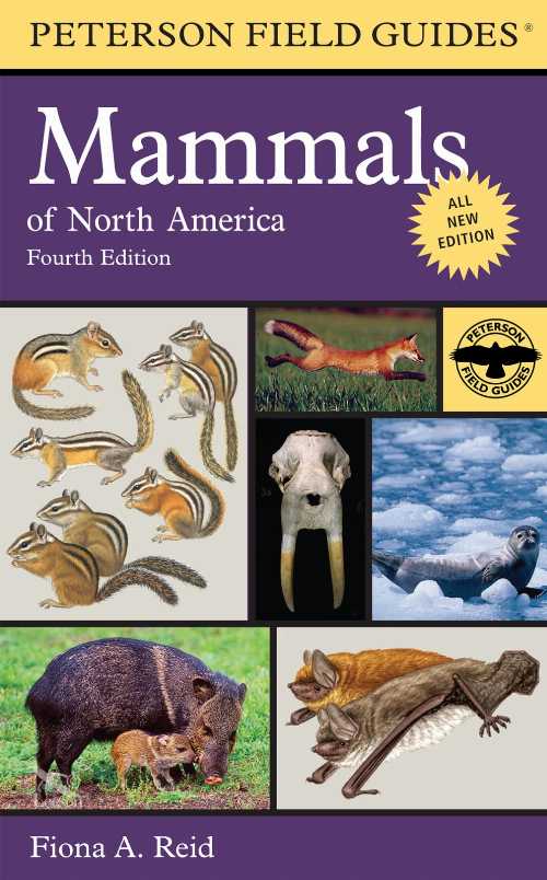 タイトル: Peterson Field Guide to Mammals of North America著者: Fiona Reid出版社: Houghton Mifflin Harcourt出版日: 2006年11月15日新しい本新古...