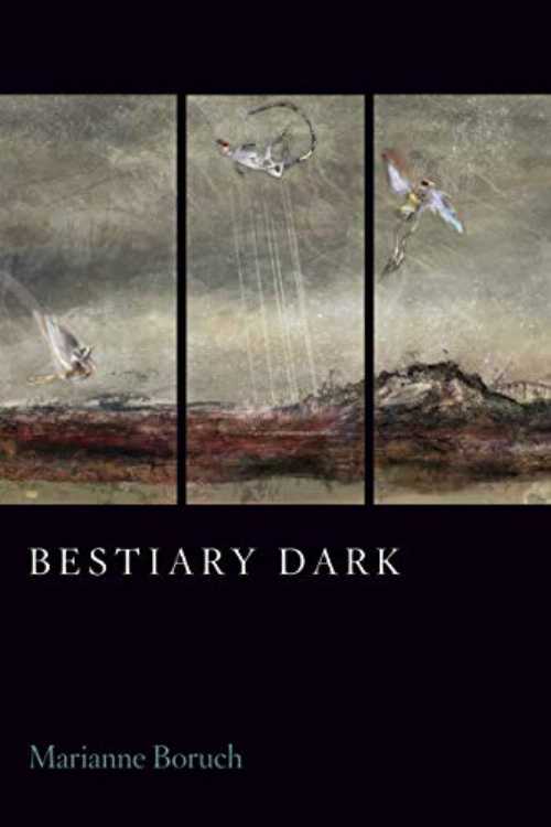 タイトル: Bestiary Dark著者: Marianne Boruch出版社: Copper Canyon Press出版日: 2021年10月05日新しい本新古品・未使用品。出版社からの新着。Is the world finite?...
