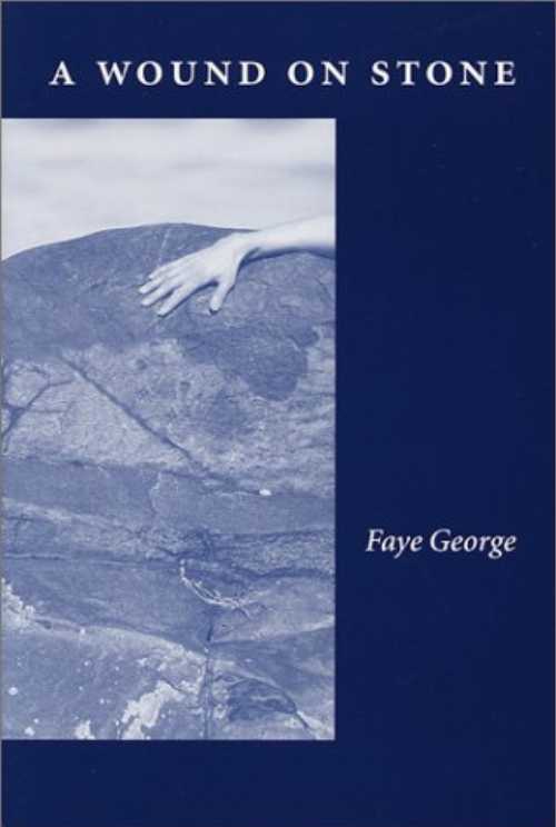 タイトル: A Wound on Stone著者: Faye George出版社: Perugia Press出版日: 2001年07月21日古本非常に良い。端が少し摩耗しているが、汚れのないきれいな本。製本状態は良好。ダスト ジャケットが...