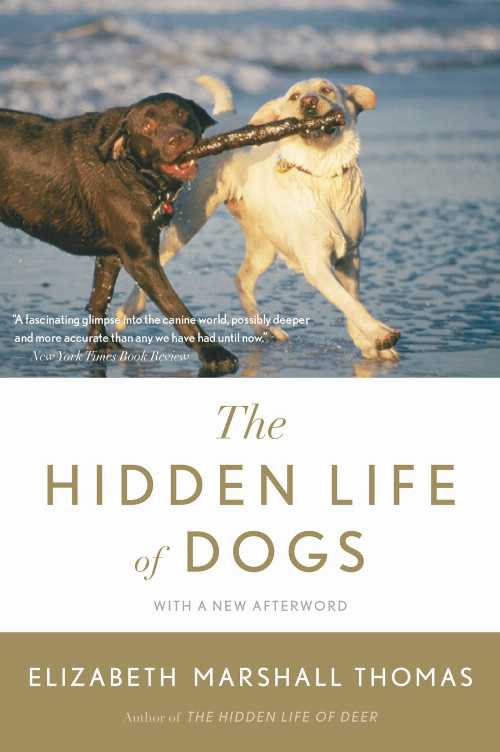 タイトル: Hidden Life of Dogs著者: Elizabeth Marshall Thomas出版社: Mariner Books出版日: 2010年09月10日古本非常に良い。端が少し摩耗しているが、汚れのないきれいな本。製...