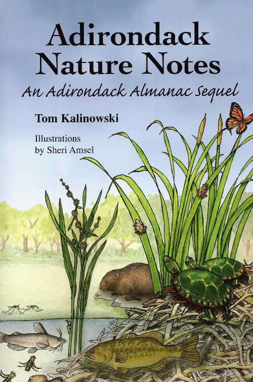 タイトル: Adirondack Nature Notes: An Adirondack Almanac Sequel著者: Tom Kalinowski出版社: North Country Books出版日: 2008年05月01日古本ほ...