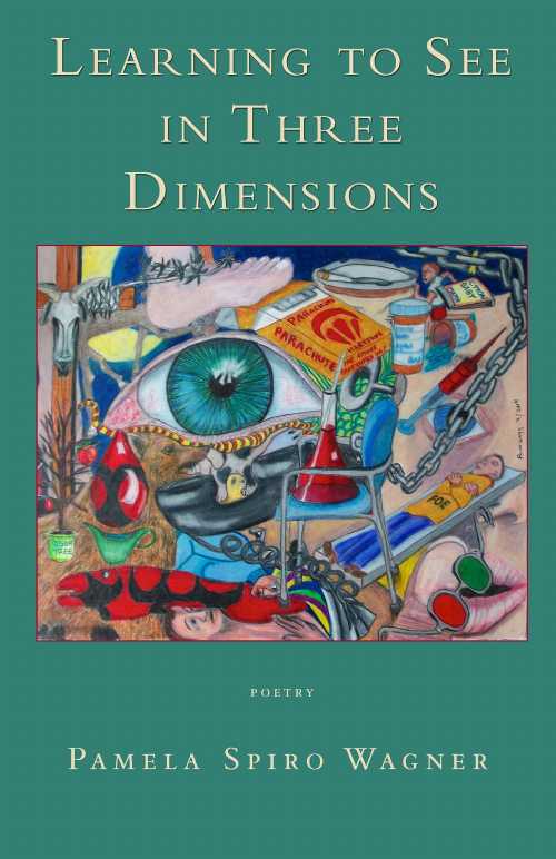 タイトル: Learning to See in Three Dimensions: Poetry著者: Pamela Spiro Wagner出版社: Green Writers Press出版日: 2017年06月01日古本ほぼ新品。傷...