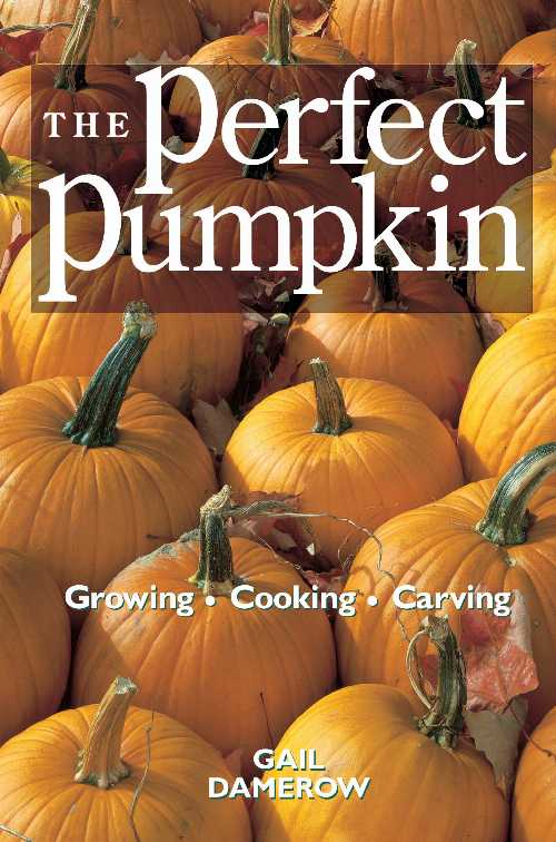 タイトル: Perfect Pumpkin: Growing/Cooking/Carving著者: Gail Damerow出版社: Storey Publishing, LLC出版日: 1997年01月08日古本ほぼ新品。傷みが少なく、し...