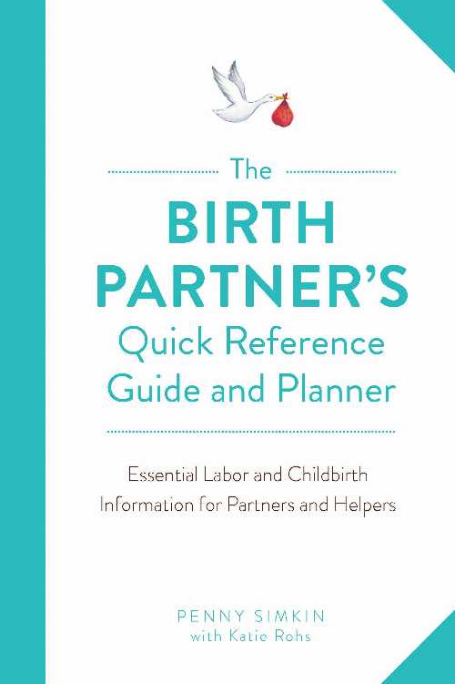 タイトル: The Birth Partner's Quick Reference Guide and Planner著者: Penny Simkin with Katie Rohs出版社: Harvard Common Press出版日:...