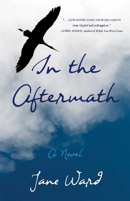 タイトル: In the Aftermath著者: Jane Ward出版社: She Writes Press出版日: 2021年09月21日古本非常に良い。端が少し摩耗しているが、汚れのないきれいな本。製本状態は良好。ダスト ジャケット...