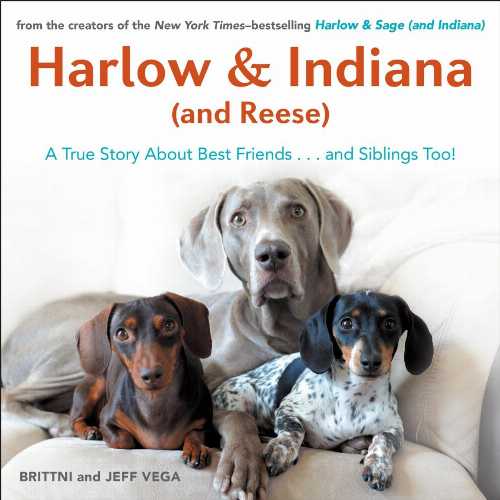タイトル: Harlow & Indiana (and Reese): A True Story about Best Friends...and Siblings Too!著者: Brittni Vega出版社: G.P. Putnam'...