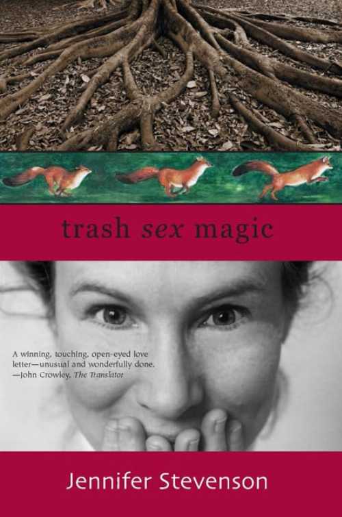 タイトル: Trash Sex Magic著者: Jennifer Stevenson出版社: Small Beer Press出版日: 2004年06月01日古本非常に良い。端が少し摩耗しているが、汚れのないきれいな本。製本状態は良好。ダ...