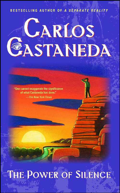 タイトル: Power of Silence (Original)著者: Carlos Castaneda出版社: Washington Square Press出版日: 1991年06月01日古本ほぼ新品。傷みが少なく、しっかりと製本され...