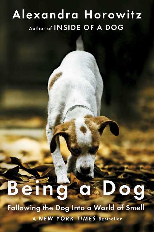 タイトル: Being a Dog: Following the Dog Into a World of Smell著者: Alexandra Horowitz出版社: Scribner出版日: 2016年10月04日古本非常に良い。端が少...