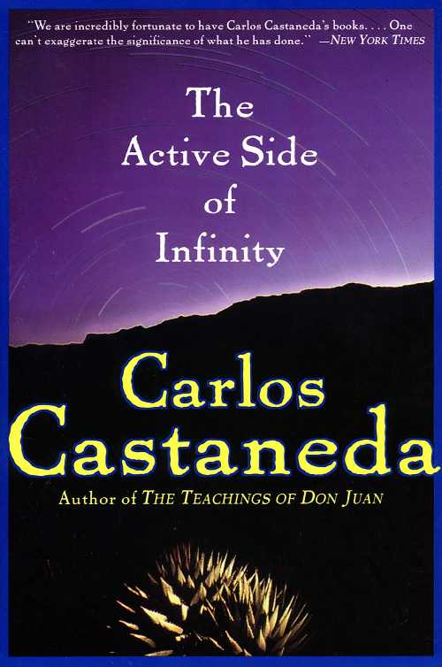 タイトル: Active Side of Infinity著者: Carlos Castaneda出版社: Harper Perennial出版日: 1999年12月22日古本ほぼ新品。傷みが少なく、しっかりと製本された、優れた、マークのな...