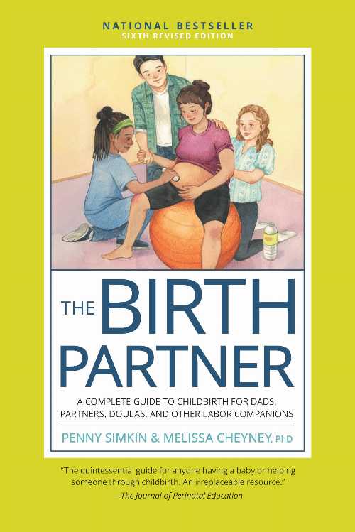 タイトル: Birth Partner, Sixth Revised Edition: A Complete Guide to Childbirth for Dads, Partners, Doulas, and Other Labor C...