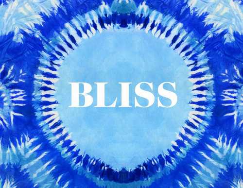 タイトル: Bliss: Transformational Festivals & the Neo Hippie著者: Steve Schapiro出版社: powerHouse Books出版日: 2015年10月06日古本ほぼ新品。傷み...