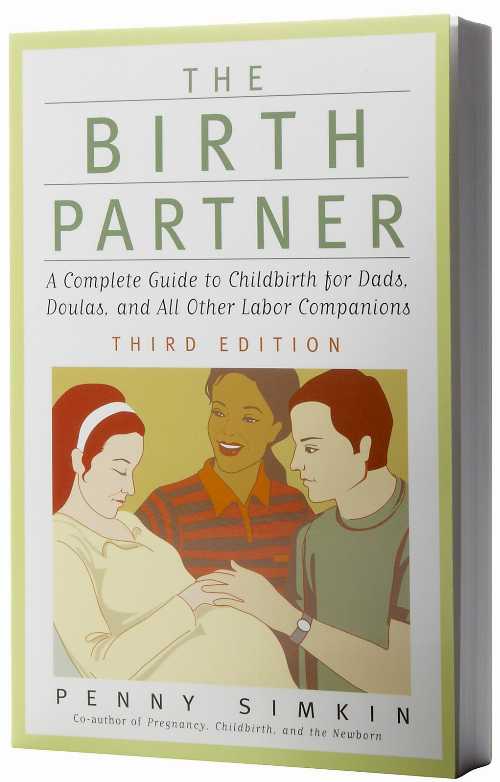タイトル: Birth Partner: A Complete Guide to Childbirth for Dads, Doulas, and All Other Labor Companions (First Trade Paper)...