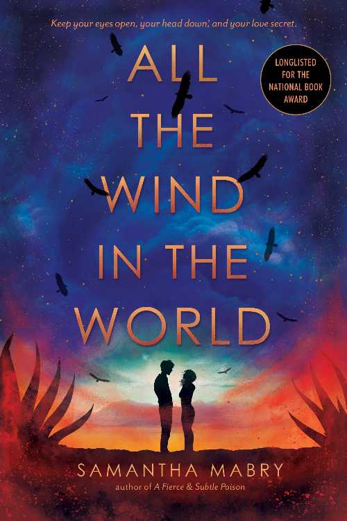 タイトル: All the Wind in the World著者: Samantha Mabry出版社: Little, Brown Books for Young Readers出版日: 2018年10月09日古本ほぼ新品。傷みが少なく...