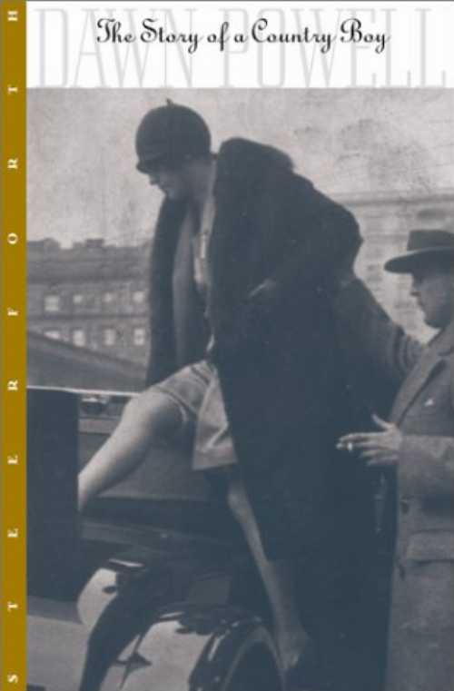 タイトル: Story of a Country Boy著者: Dawn Powell出版社: Steerforth Pr出版日: 2001年03月31日古本非常に良い。端が少し摩耗しているが、汚れのないきれいな本。製本状態は良好。ダスト ...