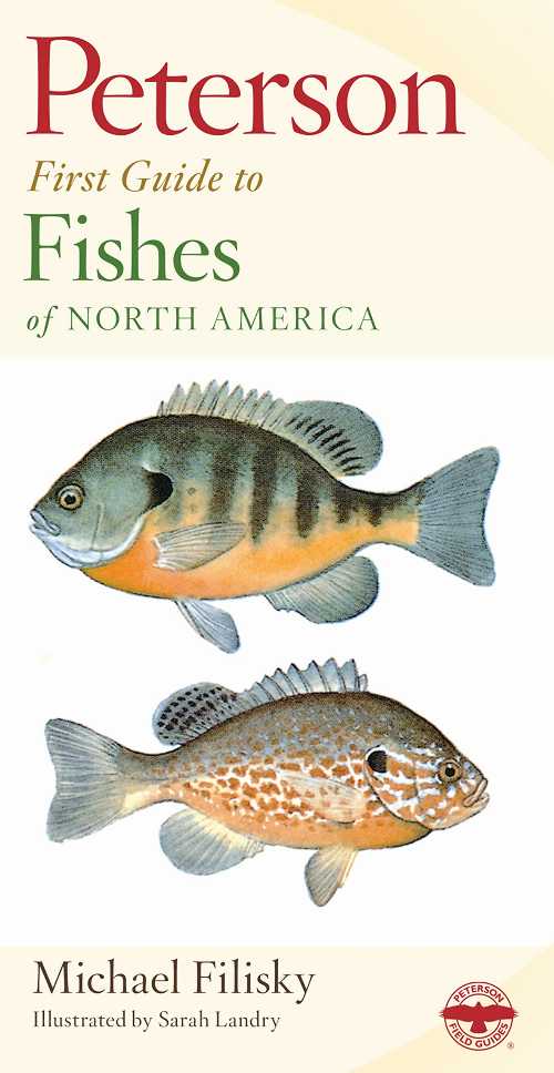 タイトル: Peterson First Guide to Fishes of North America著者: Roger Tory Peterson出版社: Mariner Books出版日: 1998年05月15日古本ほぼ新品。傷みが...