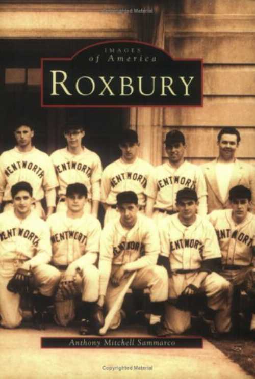 タイトル: Roxbury著者: Anthony M Sammarco出版社: Arcadia Publishing出版日: 1997年05月01日古本非常に良い。端が少し摩耗しているが、汚れのないきれいな本。製本状態は良好。ダスト ジャケ...