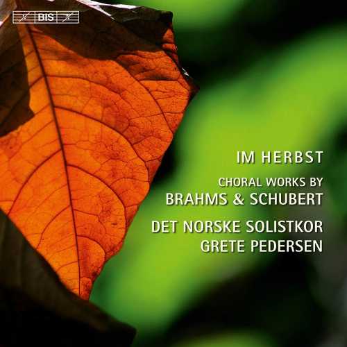 タイトル: Nine Songs from Zigeunerliederアーティスト: Various Artists発売元: BIS出版日: 2011年10月25日中古良い。大きな傷や欠陥はありません。ケースには中程度の摩耗が見られます。...