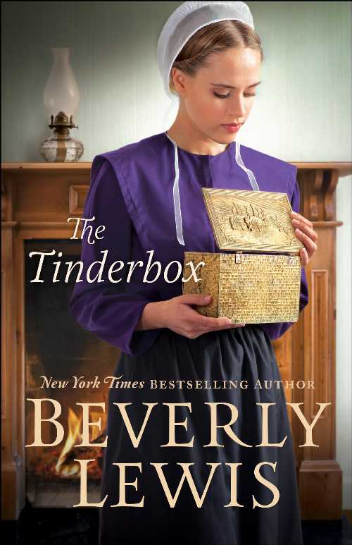 タイトル: Tinderbox著者: Beverly Lewis出版社: Bethany House Publishers出版日: 2019年04月02日古本ほぼ新品。傷みが少なく、しっかりと製本された、優れた、マークのないコピーです。リサ...