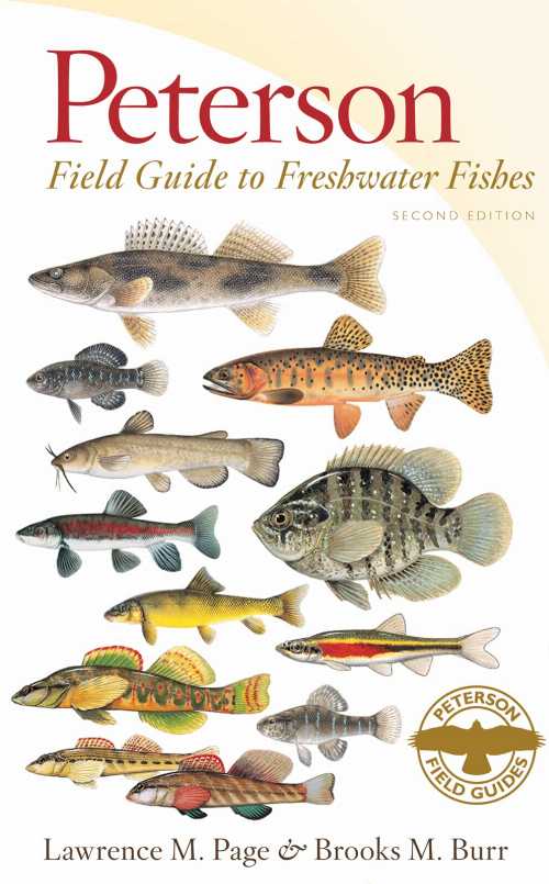 タイトル: Peterson Field Guide to Freshwater Fishes著者: Paul A. Opler出版社: Houghton Mifflin Harcourt出版日: 2011年04月21日新しい本新古品・未使...