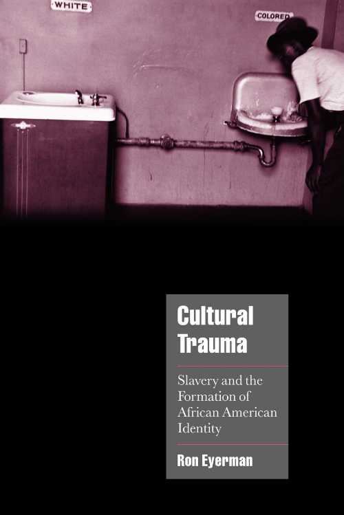 タイトル: Cultural Trauma: Slavery and the Formation of African American Identity著者: Ron Eyerman出版社: Cambridge University Pr...