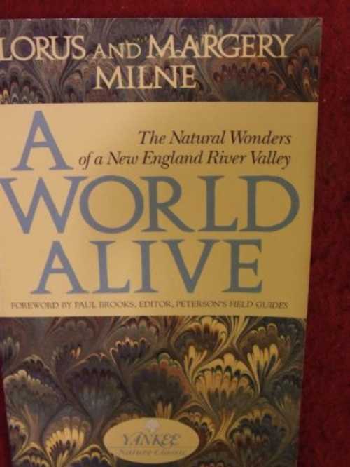 タイトル: World Alive: The Natural Wonders of a New England River Valley著者: Lorus Milne出版社: Yankee Books出版日: 1991年03月01日古本非常...