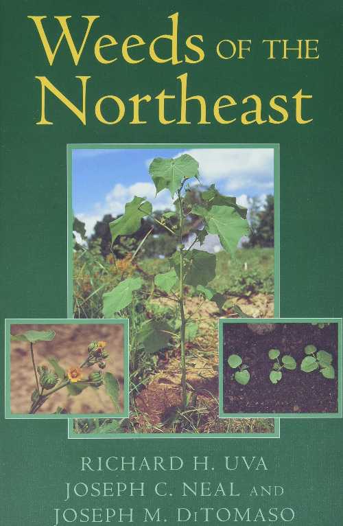 タイトル: Weeds of the Northeast著者: Richard H Uva出版社: Comstock Publishing Associates出版日: 1997年06月15日古本非常に良い。端が少し摩耗しているが、汚れのな...