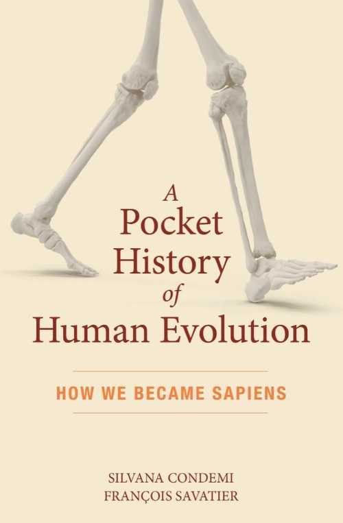 タイトル: Pocket History of Human Evolution: How We Became Sapiens著者: Silvana Condemi出版社: The Experiment出版日: 2019年11月01日古本ほぼ...