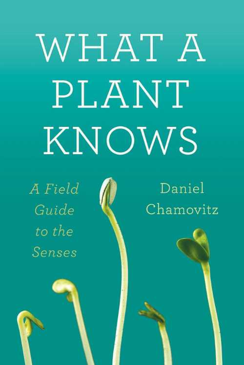 タイトル: What a Plant Knows: A Field Guide to the Senses著者: Daniel Chamovitz出版社: Scientific American / Farrar, Straus and G...