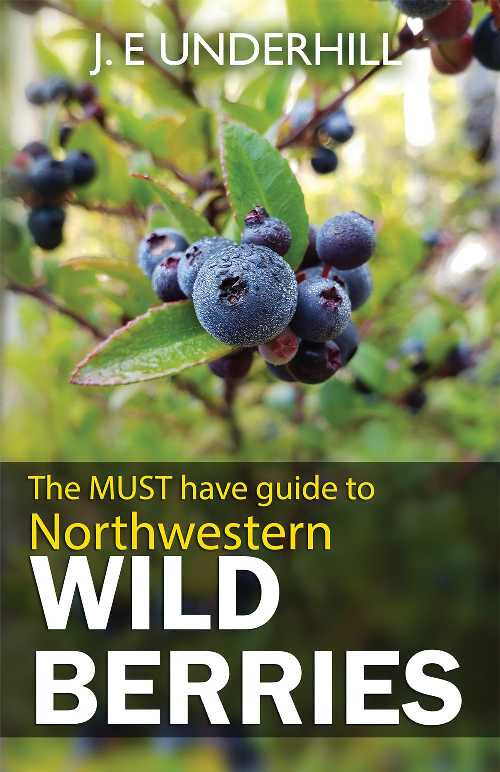 タイトル: Guide to Northwestern Wild Berries (2018 Reprint)著者: Ted Underhill出版社: Hancock House出版日: 2019年02月01日古本ほぼ新品。傷みが少なく、...