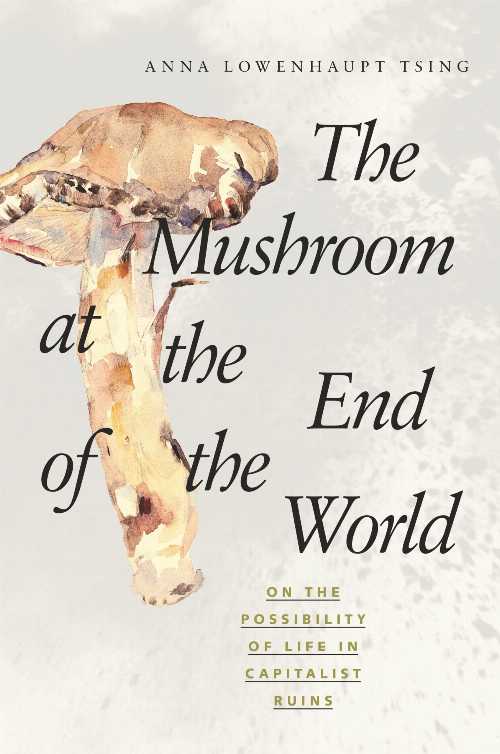 タイトル: Mushroom at the End of the World: On the Possibility of Life in Capitalist Ruins著者: Anna Lowenhaupt Tsing出版社: Prin...