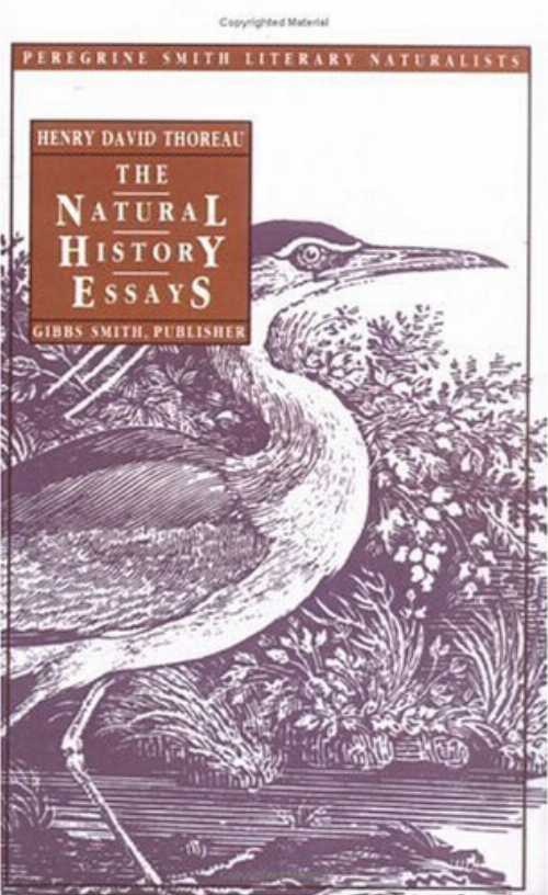 タイトル: Natural History Essays著者: Henry David Thoreau出版社: Gibbs Smith出版日: 1989年03月01日古本非常に良い。端が少し摩耗しているが、汚れのないきれいな本。製本状態は良...